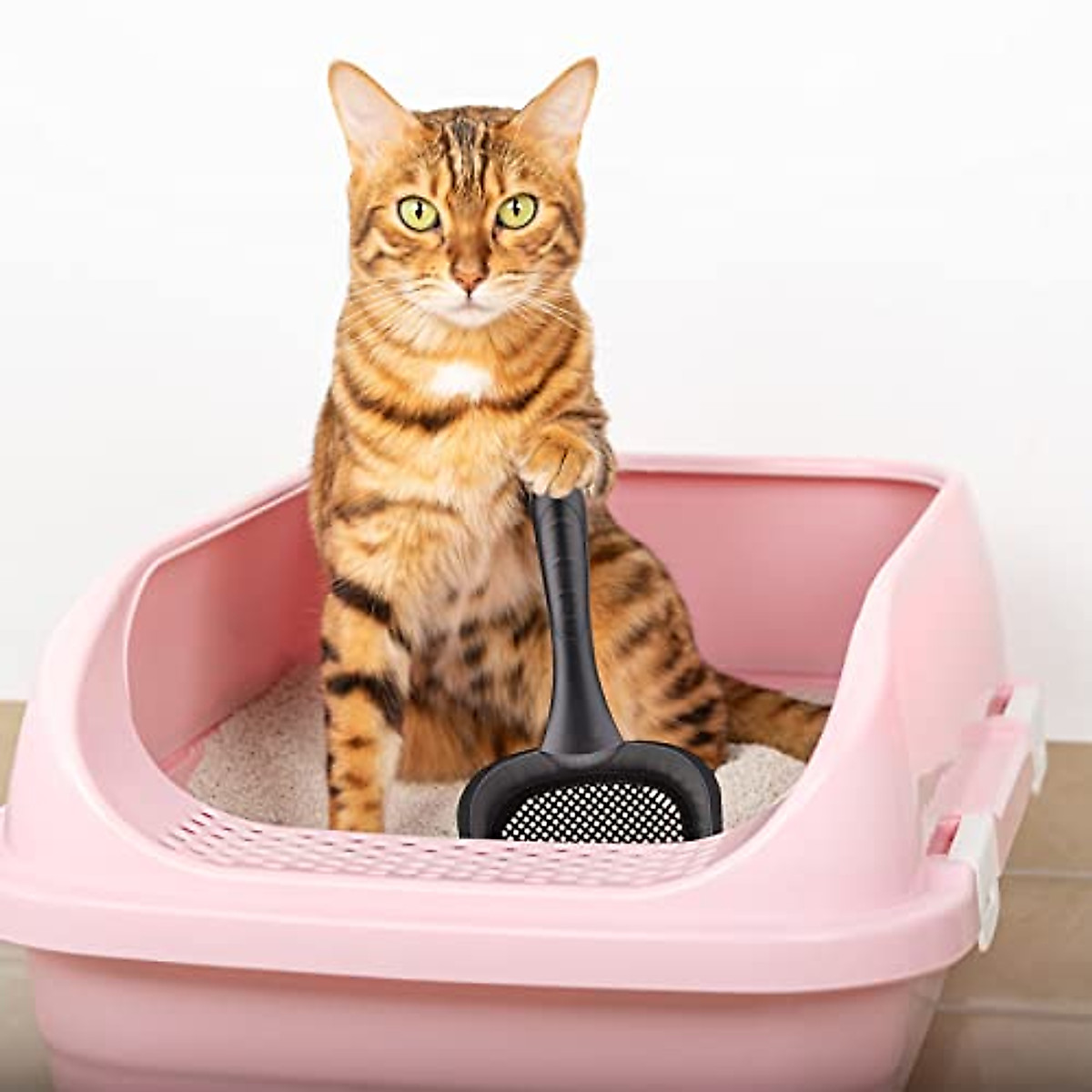 DHXYZZB Cat Kitty Litter Scoop Small Holes Fine Litter Scooper Shovel for Cat Dog Rabbits Hamster Snake Sifter Scoop High Qulity PVC Non-Toxic (2.5mm Hole)