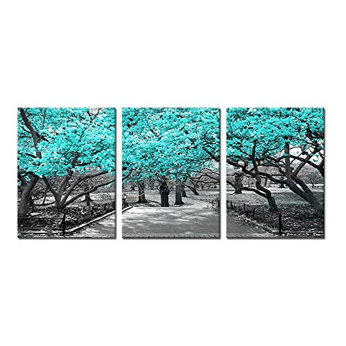 iKNOW FOTO 3 Pieces Canvas Wall Art for Bedroom Black White and Teal Cherry Blossom Trees Picture Giclee Prints Home Decor Modern Framed Artwork for Dining Room Kitchen Bathroom Office 12x16inchx3