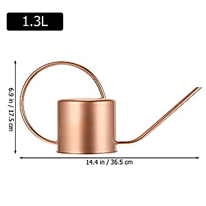 Watering can Spout Watering Pot Plant misting Water Bottle Kids Watering Spray Bottle Water Pitcher for Plants Kettle with Long Spout Child Outdoor Stainless Steel Succulent Plants