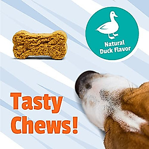 Pet Naturals Allergy Plus Calming Supplement for Dogs, Soft Chew, Duck Flavor, 60 Ct.