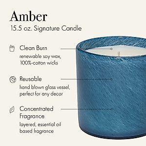LAFCO LAFCO Amber Signature Candle, Study, 15.5 oz.