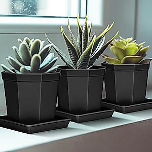 LWALRS Square Plant Saucer 16 Inch 2 Pack, Duty Plastic Plant Saucer, Heavy Duty Plant Pot Saucers, Garden Large Deep Plant Trays for Pots, Planters for Indoors and Outdoors Plants.