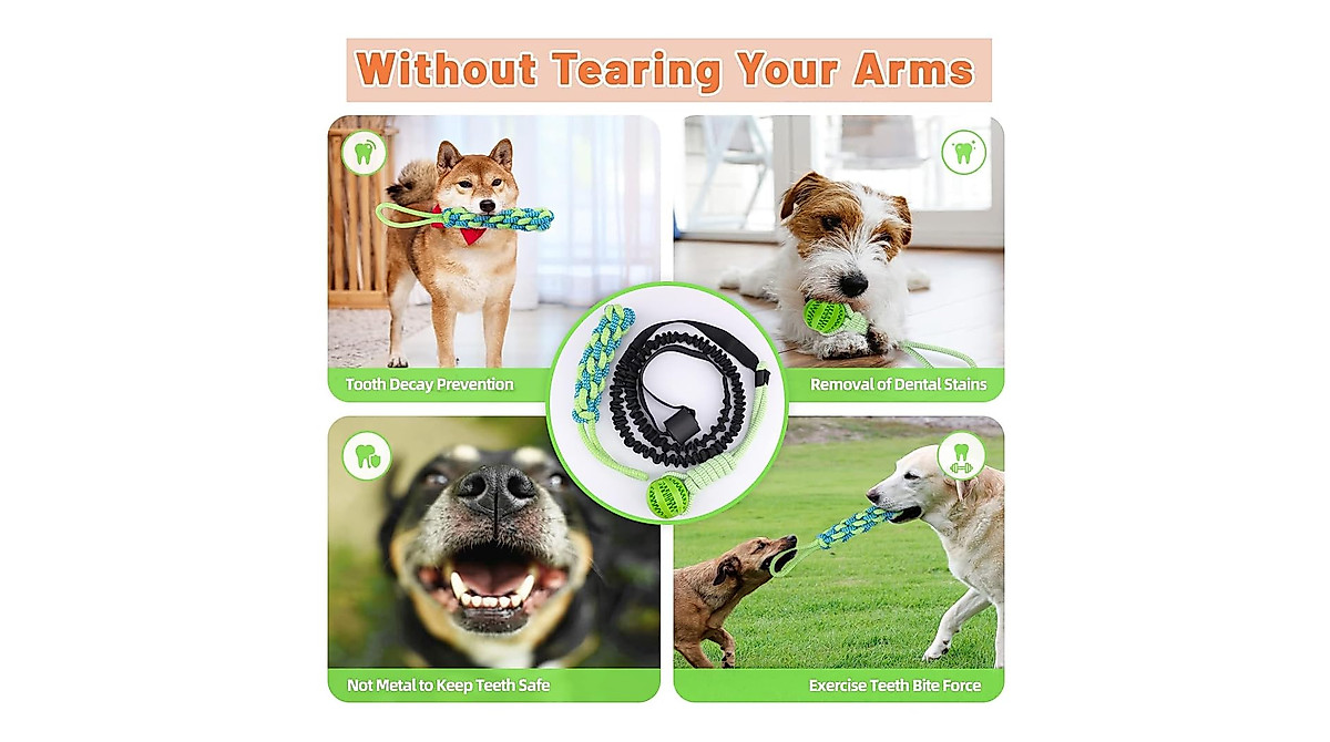 SLAUNT Dog Bungee Tug Toy - Spring Pole for Interactive Play