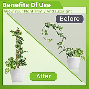 MGMH Coco Coir Moss Pole for Plants, 2 Sticks 25 Inch Bendable Plant Stakes Made of Real Coco Coir, Good for Climbing Plants Monstera and Other Creeper Plants Grow Upwards