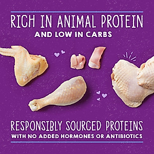Stella & Chewy’s Carnivore Cravings Savory Shreds Cans – Grain Free, Protein Rich Wet Cat Food – Cage-Free Chicken & Turkey Recipe – (2.8 Ounce Cans, Case of 12)