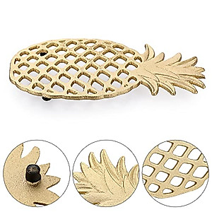 Sumnacon 2Pcs 8.5 x 5.2 Inch Cast Iron Trivets - Rustic Heat Resistant Metal Trivets for Hot Dish Pot Pan Plate Teapot, Decorative Pineapple Iron Hot Plate Holders for Kitchen Counter Dining Table