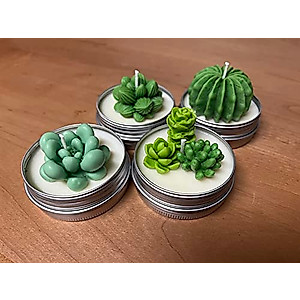 Navani Succulent Silicone Mold, Cactus Resin Mold, Candle Mold Silicone for DIY Handmade Soap, Candle, Cake Decoration - 9 Pcs