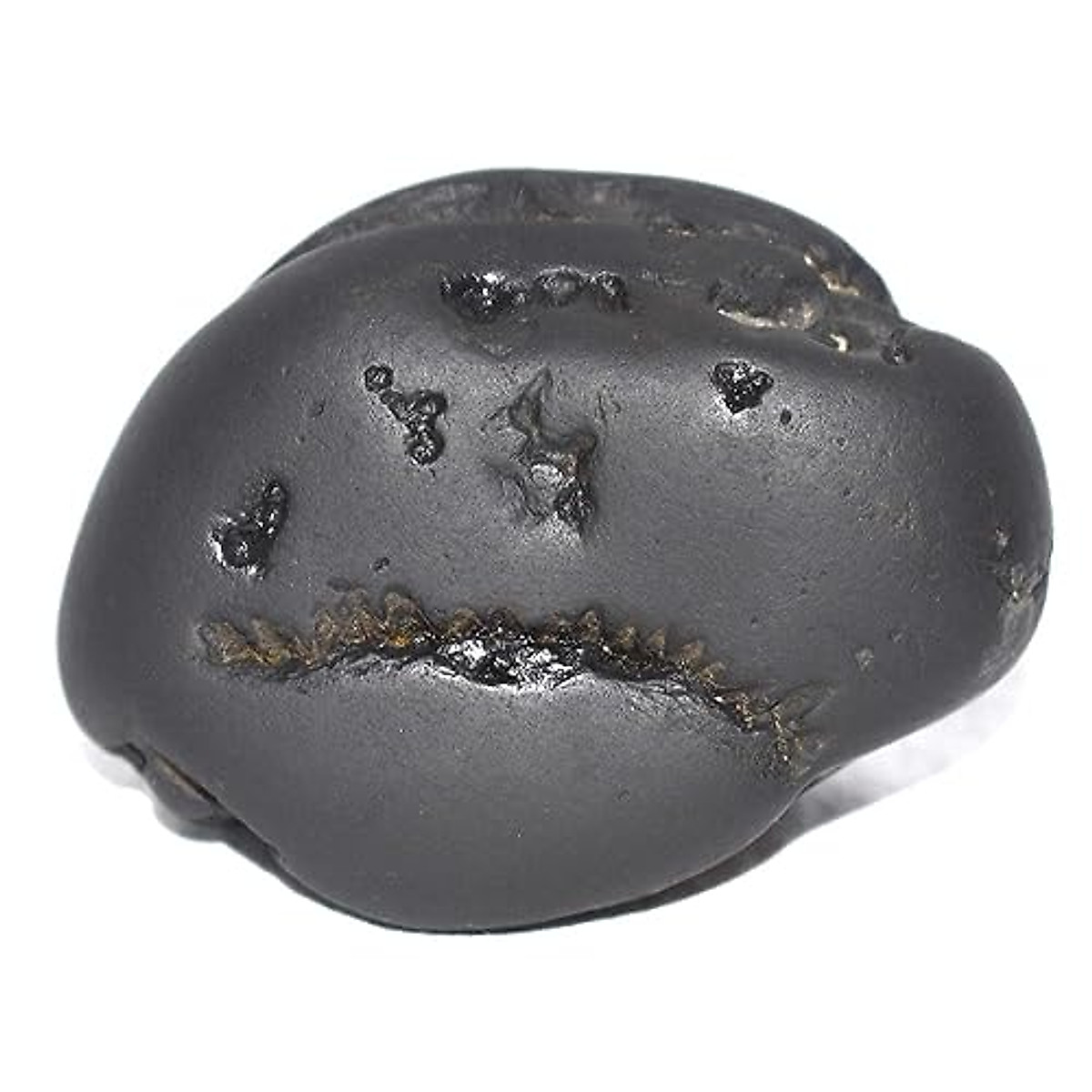 Rudrakshguru Laxmi Narasimha Shaligram - Gandaki River Nepal