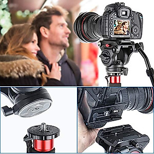Avella Video Tripod Fluid Head with Quick Release Plate, Lightweight Heavy Duty Compatible with Manfrotto,Max Load 13.2lb/6kg for Video Canon Nikon Sony Olympus Panasonic DSLR Camera, V501