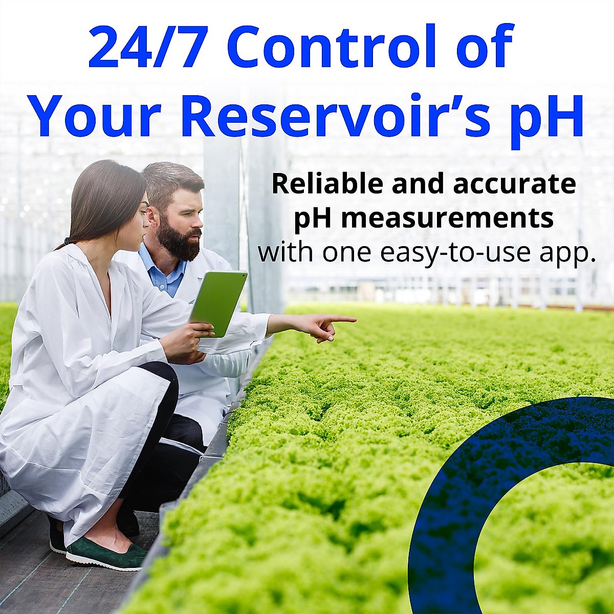 Bluelab pH Controller Wi-Fi 24/7 Reservoir Monitoring for pH with Automated Nutrient Dosing, Edenic Integration, Replaceable Probes Safety Features Optimal for Hydroponics & Indoor Plants
