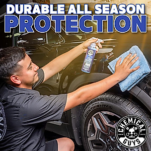 Chemical Guys WAC_114_16 P40 Detailer Quick Detailer and UV Protectant (16 oz)