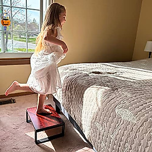 RORKEE Wood Step Stool with 350 Pounds Load Capacity Wooden Bedside Step Stool Adults for Kitchen,Bathroom,Bedroom(Dark Walnut)