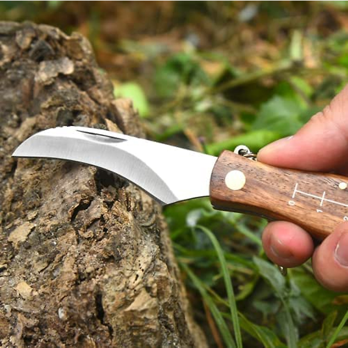 CABUGE Mushroom Knife with Brush & Sharpener, Folding Pocket knife with Wood Handle & Clip for Men Women, Folding Knives for Outdoor Camping