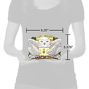 American Greetings Pop Up Harry Potter Birthday Card (Filled with Magic!)