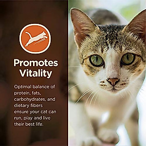 Wellness CORE Digestive Health Salmon & Rice Dry Cat Food, 5 Pound Bag