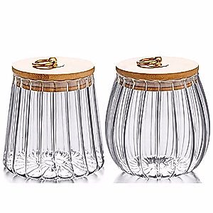 FANTESTICRYAN Small Glass Coffee Nuts Canister Airtight Storage Jar Petal Decorative Container with Bamboo Lid Metal Handle Easy to Grasp 700ml, 23 FL OZ (Set of 2)