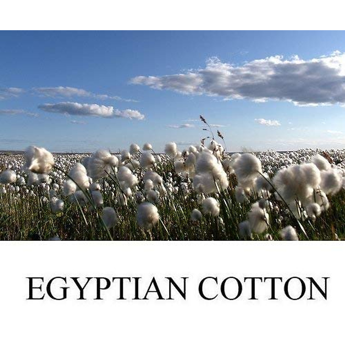 American Linen Adjustable King 5pcs Bed Sheet Set Egyptian Cotton Sateen Hotel Classic White Solid 1000 Thread Count-24 Inches Deep Pocket (Split-King Size)