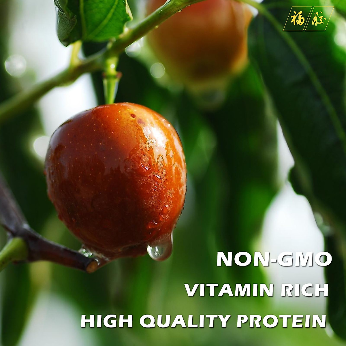 FU PAI E JIAO Jujube Pitted - Chinese Date Individually Wrapped, Non-GMO, Sweet Caramel Flavor, Natural Fruit Snacks 6.4oz