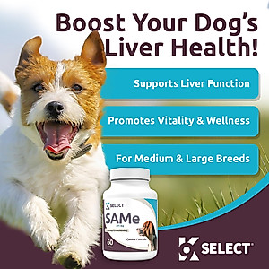 K9 Select SAM-e for Dogs: 225mg, 60 Tablets Active S-Adenosyl-L-Methionine Liver Supplement - Cognitive and Joint Health Nutrition for Medium and Large Dogs - Same Dog Liver Nutritional Supplement