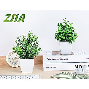 ZJIA 2 Packs Fake Plants Small Artificial Greenery Faux Plants Indoor for Home Farmhouse Bathroom Shelf Decor