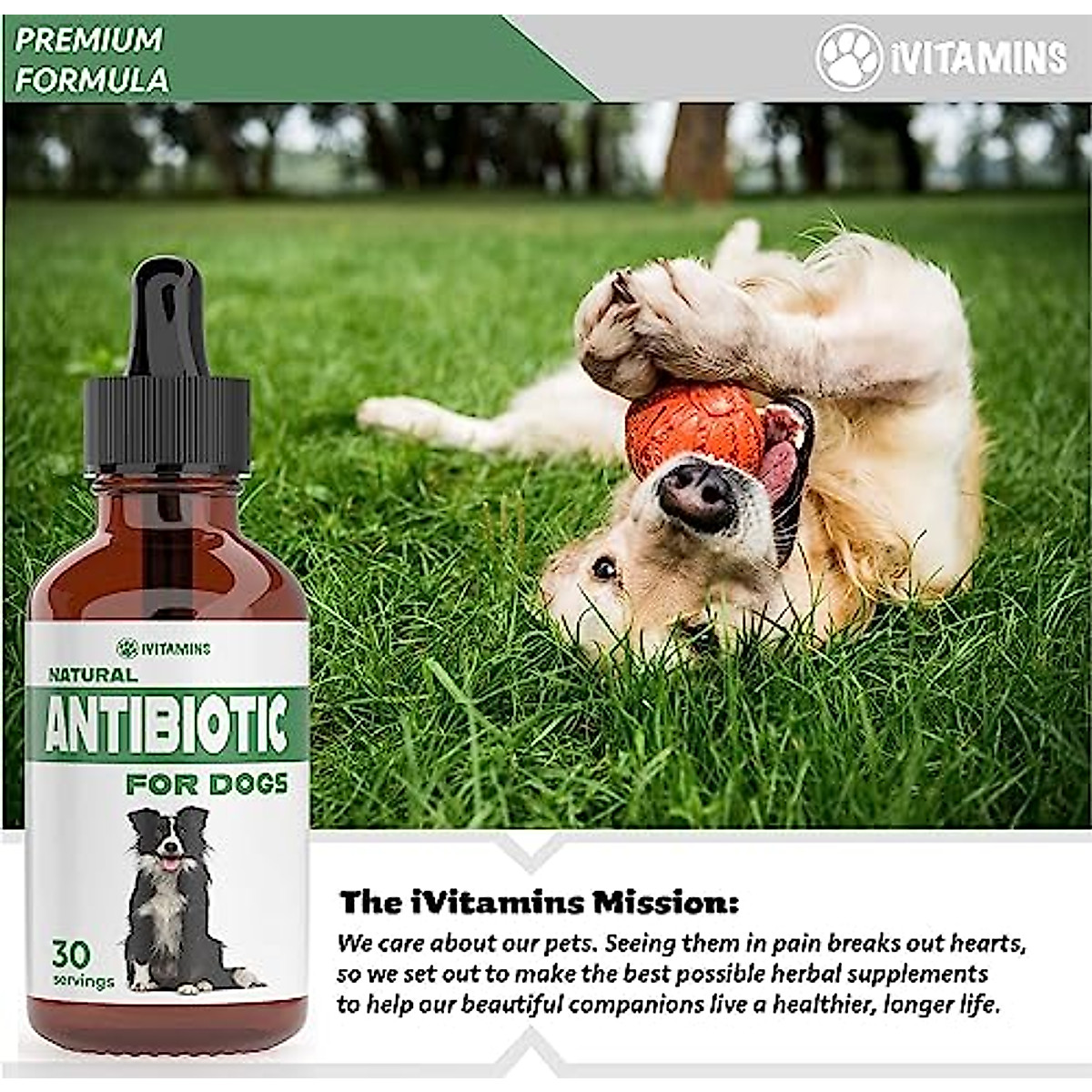 Natural Antibiotics for Dogs | Dog Antibiotics | Supports Dog Allergy Relief | Dog Itch Relief | Dog Allergy Support | Dog Multivitamin | Pet Antibiotics | Dog Antibiotic | 2 Pack: 60 Servings Total