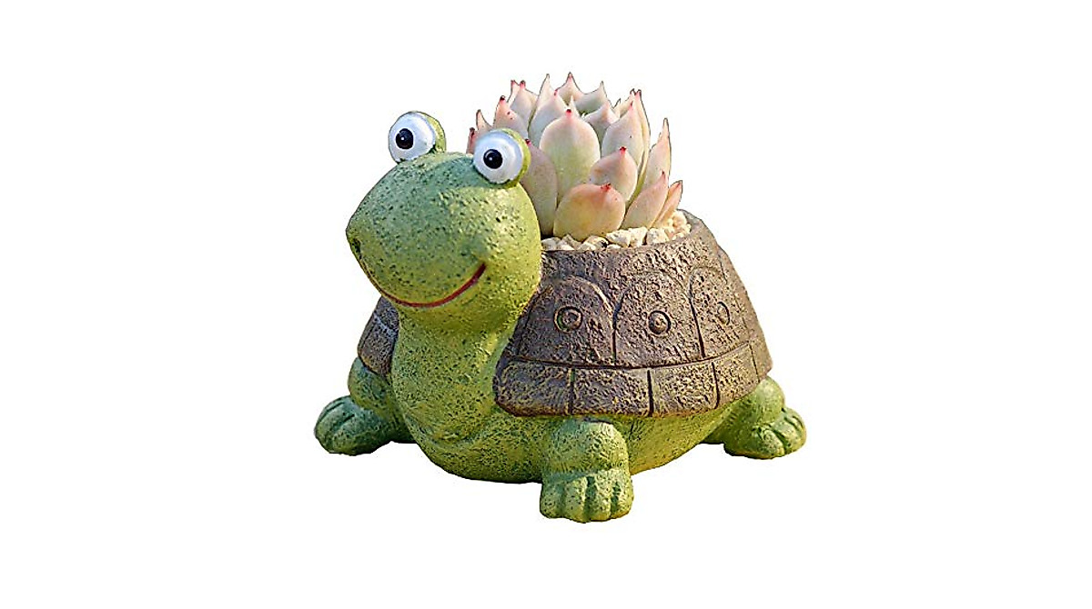 Cute Turtle Plant Pot for Succulents & Bonsai | Youfui