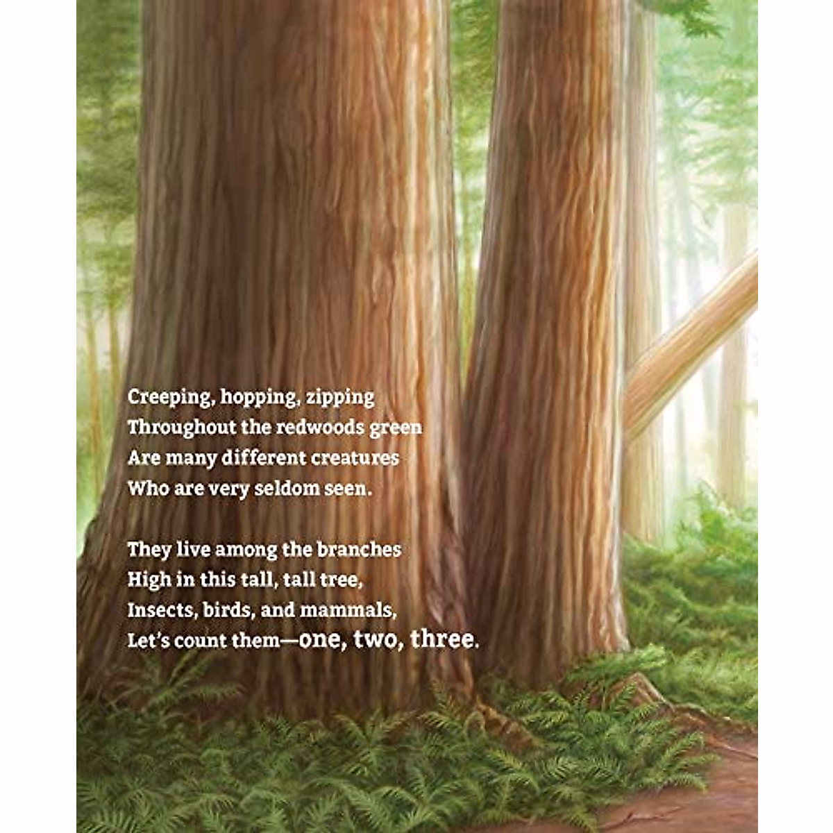 Tall Tall Tree: A Nature Book for Kids About Forest Habitats (A Rhyming Counting Book with STEAM Activities)