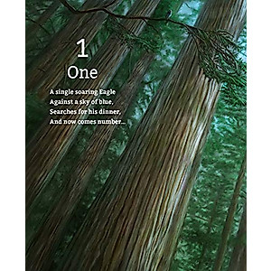 Tall Tall Tree: A Nature Book for Kids About Forest Habitats (A Rhyming Counting Book with STEAM Activities)