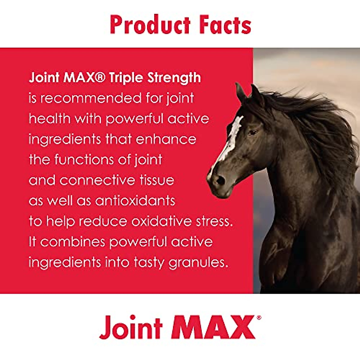 Joint MAX Triple Strength EQ GRANULES for Horses - Support Joint Health - Glucosamine, Chondroitin - Vitamins, Minerals, Omega 3 Fatty Acids, Antioxidants - 180 Doses