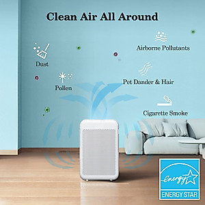 Air Purifier Replacement Filter, 3-in-1 True HEPA Filter Compatible with AP003 Air Purifier