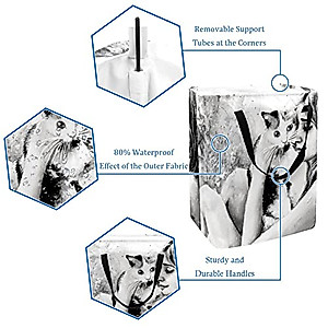 Beauty Girl and Cat Print Collapsible Laundry Hamper, 60L Waterproof Laundry Baskets Washing Bin Clothes Toys Storage for Dorm Bathroom Bedroom