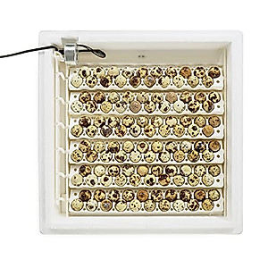 Farm Innovators 3400 Quail Rail Fits 120 Small Eggs, for 3400 Automatic Egg Turner, White (6 Pack)