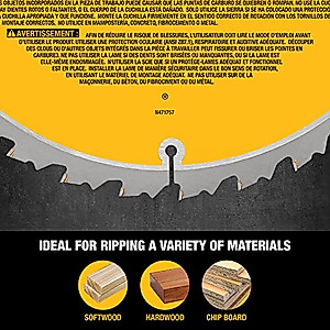 DEWALT 12-Inch Miter Saw Blade, Crosscutting, Tungsten Carbide, 80-Tooth, 2-Pack (DW3128P5)