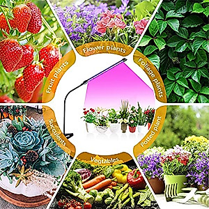 Ecoogrower LED Grow Lights for Indoor Plants, Plant Growing Lamps for Indoor Plants, 20W Full Spectrum Adjustable Gooseneck 9 Dimmable Levels 3 Modes Timing Function, 1 Head