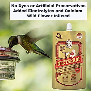 POP'S Birding Nectarade Hummingbird Nectar | USA Made Premium Humming Bird Food - Dye Free, Natural Ingredients (Ready to Use, All Natural Clear Formula, 8.5 oz)