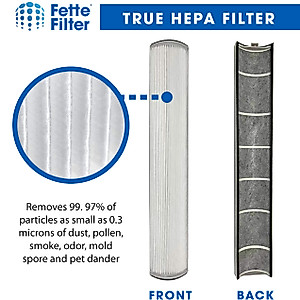 Fette Filter - Premium H13True Hepa Filter Compatible with Envion Therapure TPP230 TPP230H TPP240 TPP240D Air Purifiers Compare to Part # TPP240F - Pack of 1