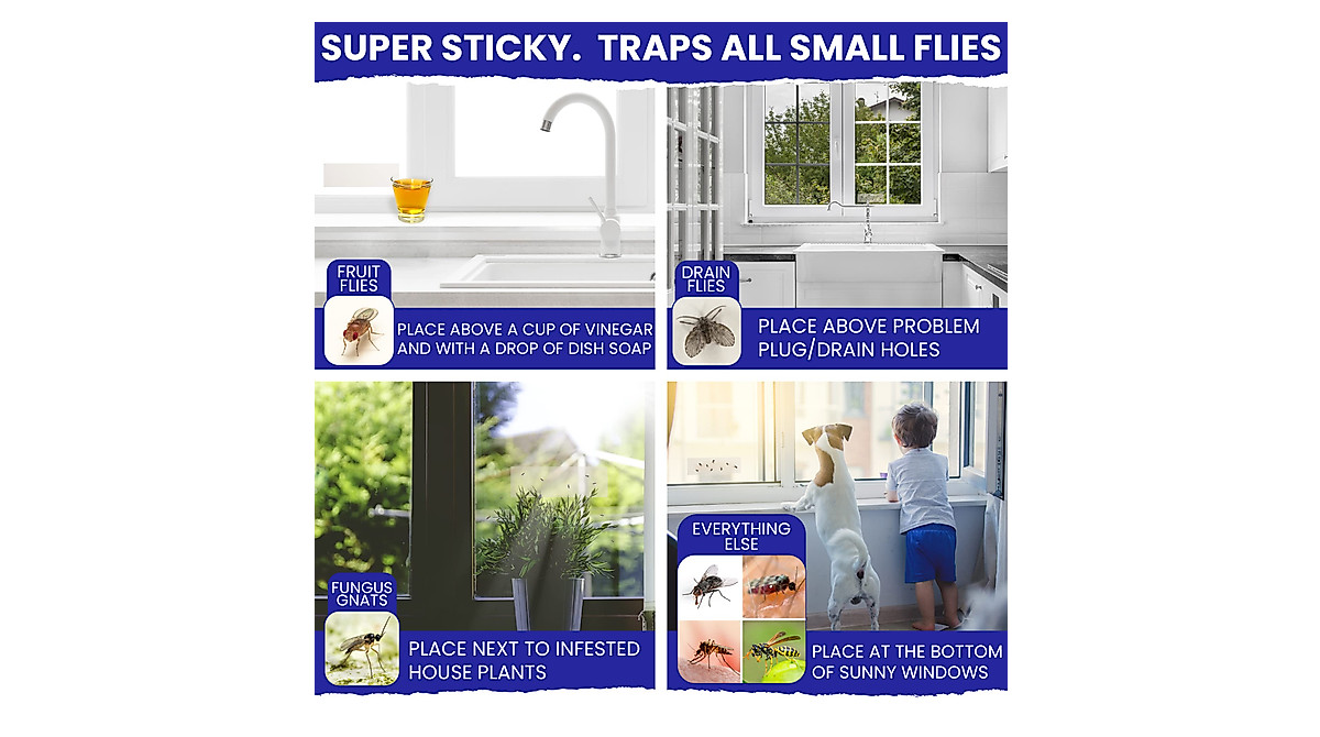 Effective Indoor Fly Traps - 15pk BugBane Strips