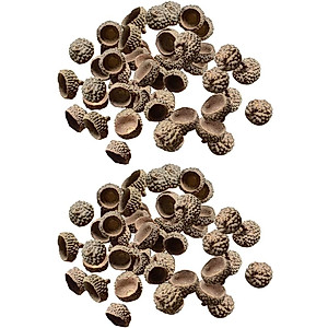 200Pcs Natural Acorns Caps Decorative for Craft Vase Fillers Home Garland Autumn Embellishments Ornaments Vase Fillers