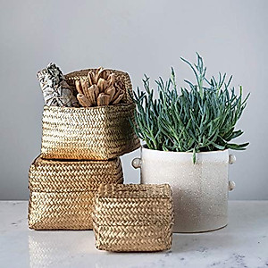 Creative Co-Op Hand-Woven Seagrass Baskets with Lids, Gold Color, Set of 3 Storage Box, 3