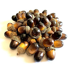 50 Pack Artificial Acorns Lifelike with Acorn Cap Simulation Small Acorn for DIY Crafting, Wedding, Home Kitchen Table Decor, Thanksgiving Halloween Christmas Festival Decorative Ornaments