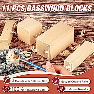 Wood Carving Kit, 19PCS Wood Carving Tools for Beginners Whittling Kit with 3PCS Whittling Knife 11PCS Basswood Blocks & Strop Block & Gloves & & Polishing Compound Wood Carving Set Hobbies for Adults