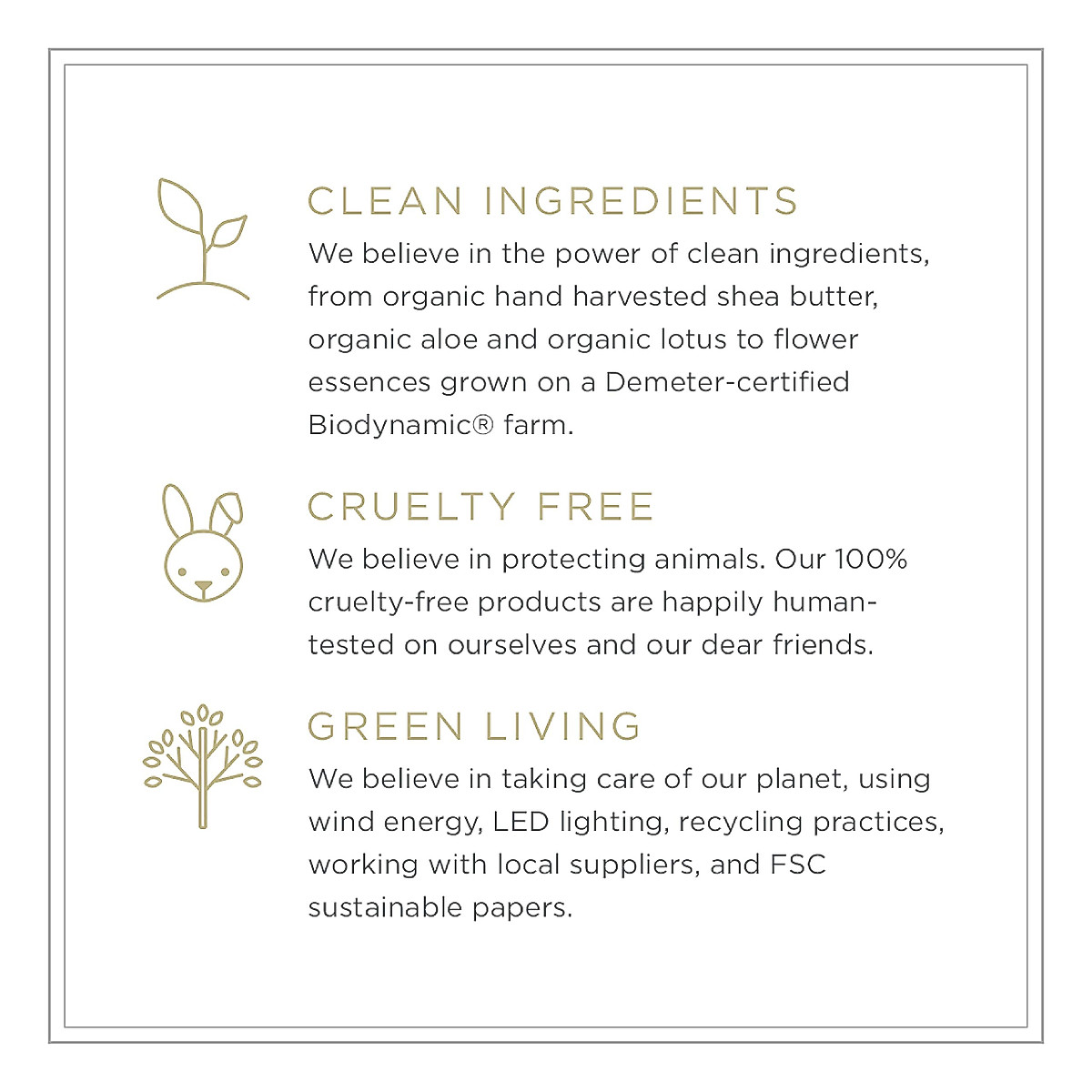 Zents Eau de Parfum (Ore) for Women & Men | Long-Lasting Clean Fragrance with Bay Laurel, Orris & Clove | Spicy & Earthy Scent | 1.69 oz