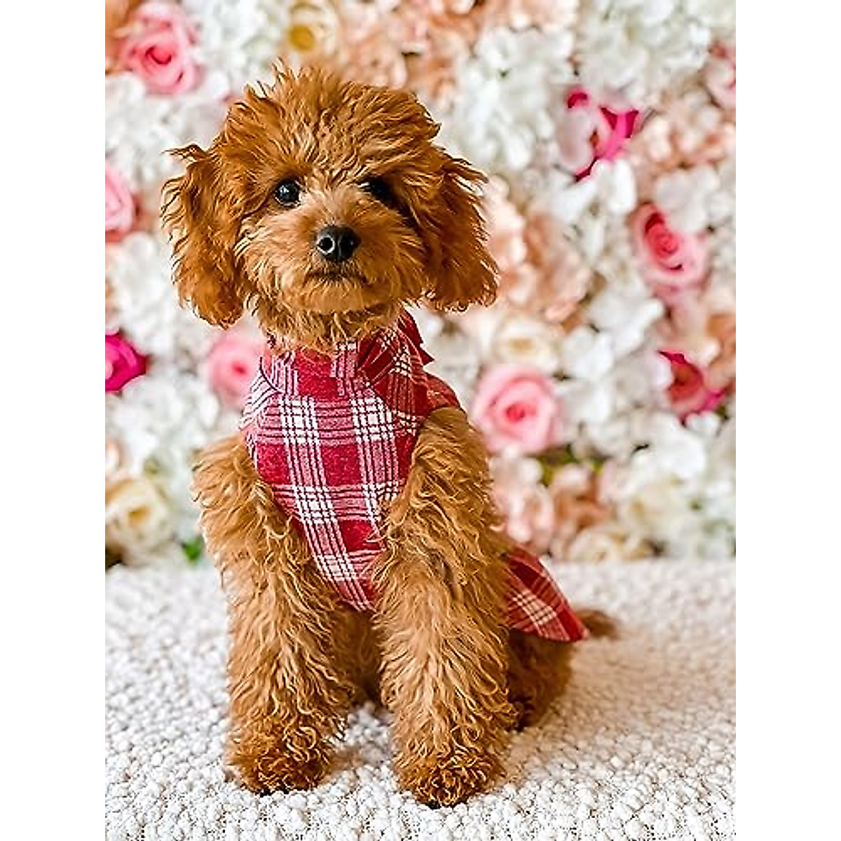 Fitwarm Dog Christmas Outfit, Winter Dog Dress, Dog Clothes for Small Dogs Girl, Turtleneck Plaid Pet Costume, Cat Apparel, Red, XXS