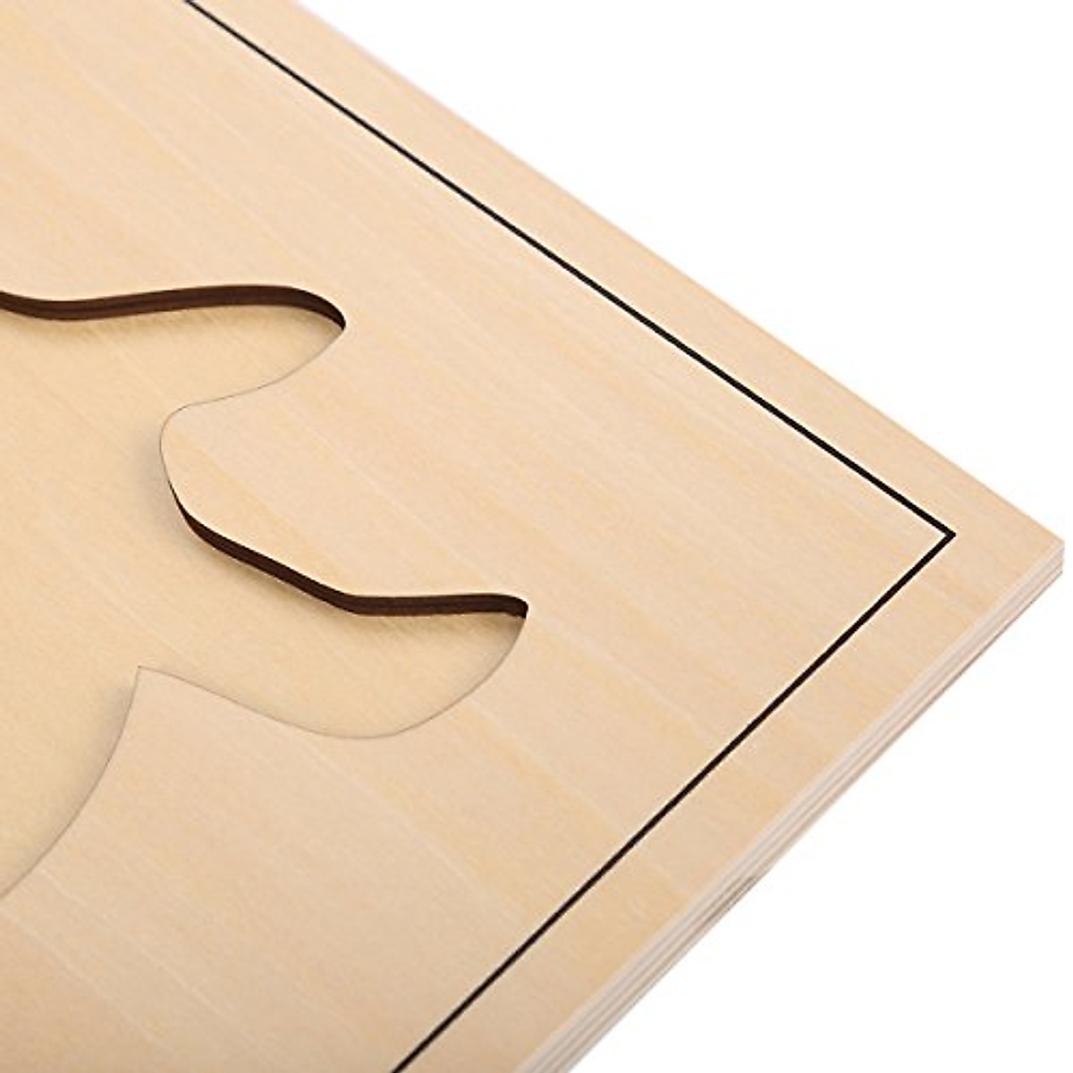 LEADER JOY Montessori Nature Materials Ladybug Puzzle for Early Preschool Learning Toy