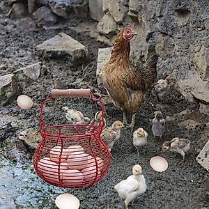 LINCOUNTRY Wire Egg Basket for Gathering Fresh Eggs,Red Egg Baskets for Fresh Egg Farmhouse,Egg Collecting Basket,Round Metal Egg Basket With Handle,Refrigerator Countertop Holder, Kitchen Storage Bin