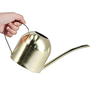 Stainless Steel Watering Can for Indoor Plants 30 Oz Golden Watering Kettle Pot with Long Spout Vintage House Plant Watering Cans for Succulent Bonsai Garden Balcony Home Flowers