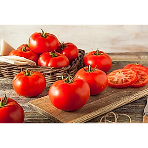 Moscow VR Tomato Seeds, 50 Heirloom Seeds Per Packet, (Isla's Garden Seeds), Non GMO Seeds, Botanical Name: Solanum lycopersicum, Great Home Garden Gift