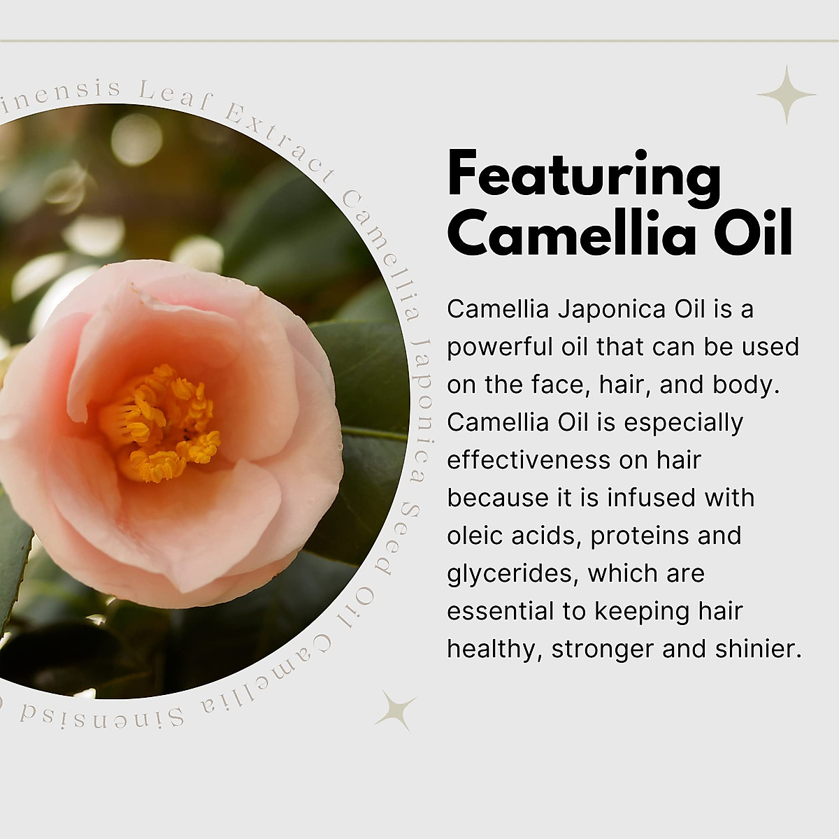 RE: REKURATOR Moisturizing Shampoo Bar with Camellia Oil, Brown Rice Extracts and Natural Ingredients - Sulfate-free, Paraben-free, Cruelty-free, Phthalate-free, pH balanced 100% Vegan, Zero-Waste