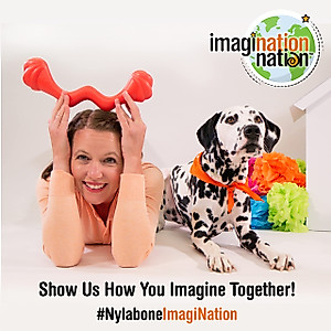 Nylabone C-Shuu Interactive Dog Toy for Small Dogs – Lightweight Squishy Dog Chase Toy for Creative Play & Dog Exercise