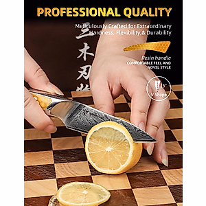 SANMUZUO 3.5 inch Paring Knife, Japanese VG-10 Damascus Steel Kitchen Knife, Ultra Sharp Fruit Knife with Full-tang Handle in Yellow Resin, LA-S9 Series